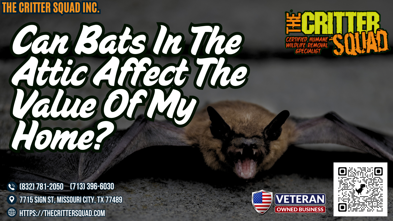 Can bats in the attic affect the value of my home? | The Critter Squad ...