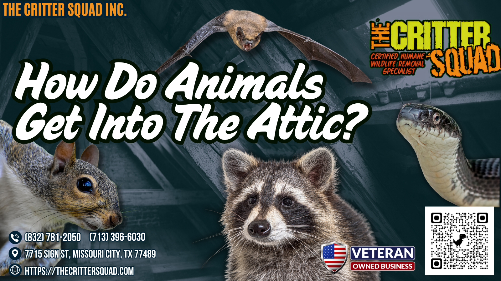 How do animals get into the attic? | The Critter Squad Texas Wildlife Removal & Control