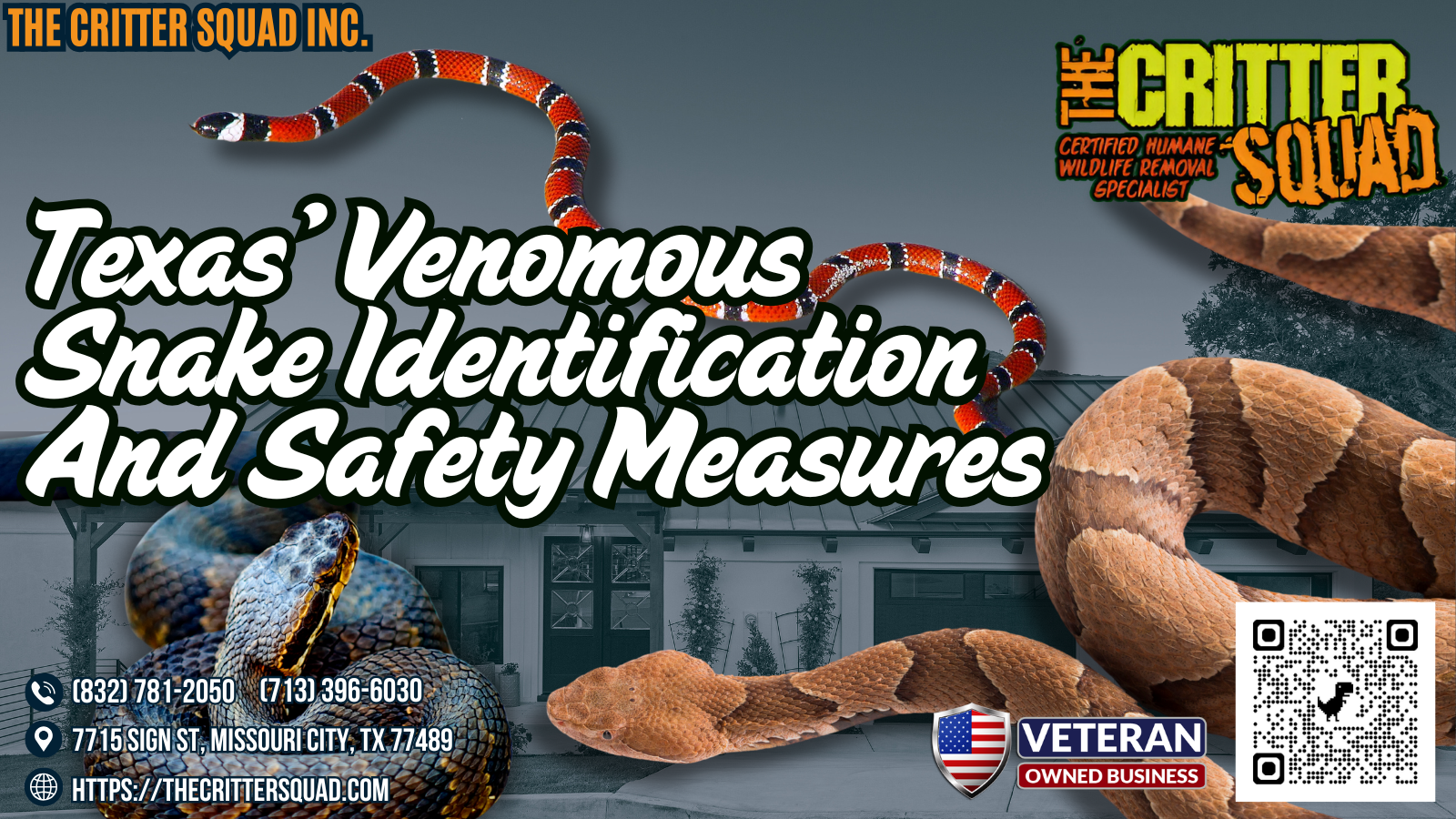 Texas’ Venomous Snakes: Identification and Safety Measures | The ...
