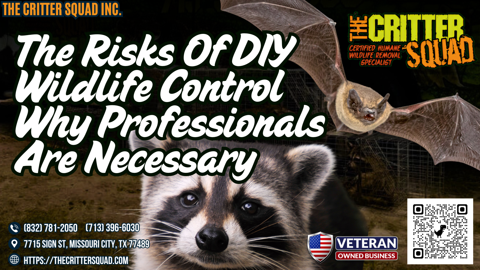The Risks of DIY Wildlife Control: Why Professionals are Necessary ...