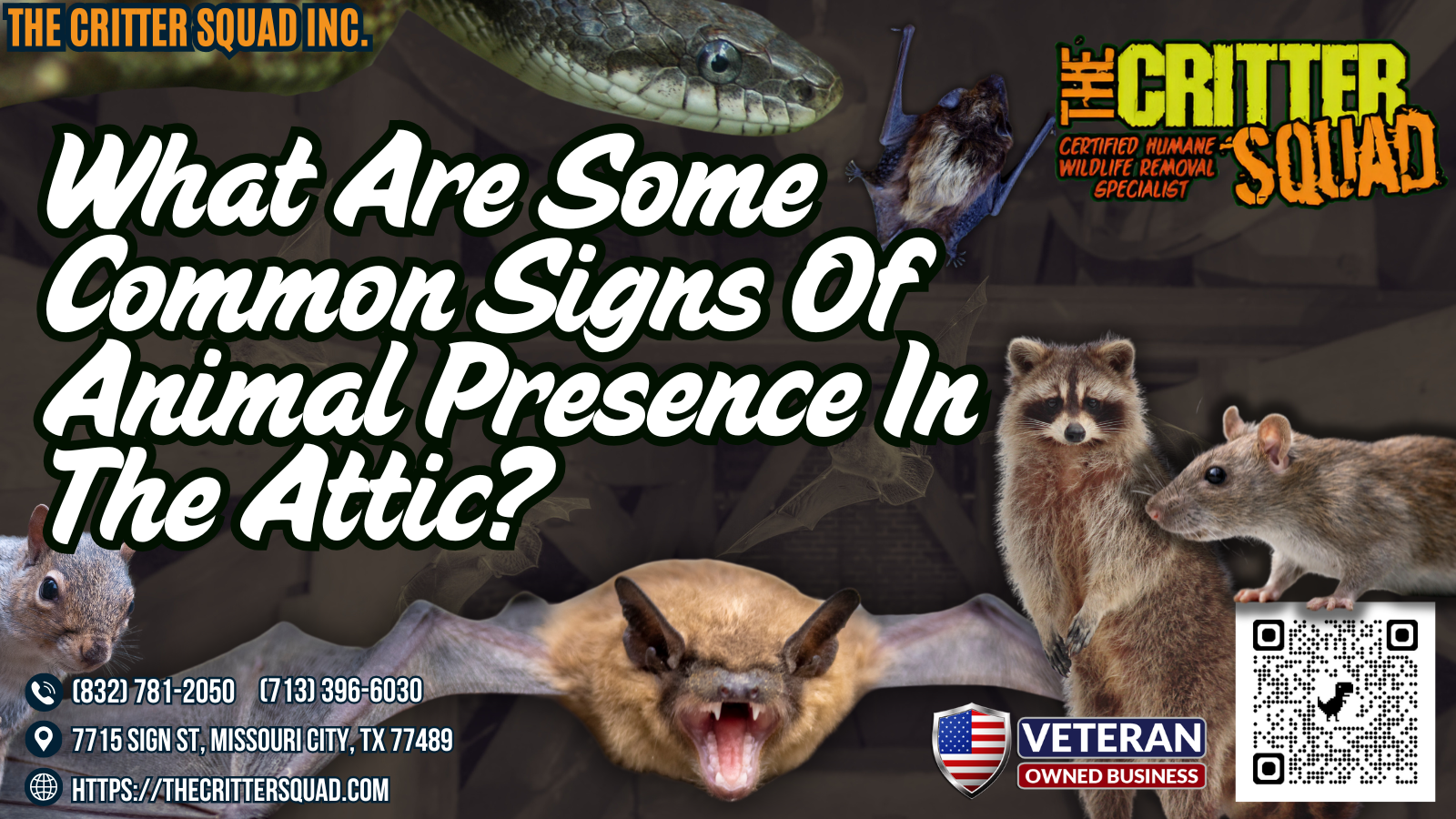 What are some common signs of animal presence in the attic? | The ...