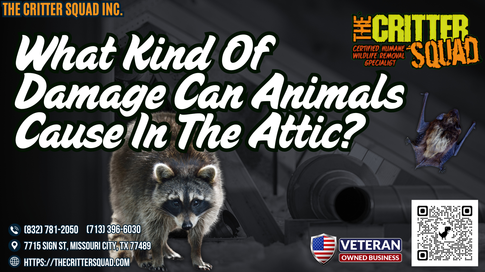 What kind of damage can animals cause in the attic? | The Critter Squad Texas Wildlife Removal ...