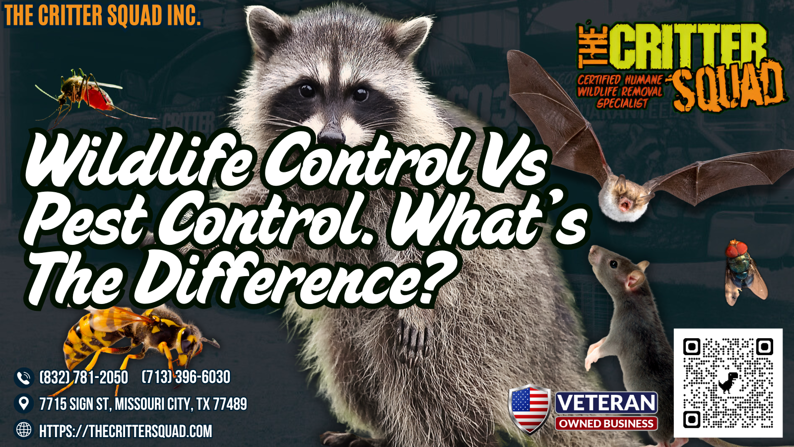 Wildlife Control vs Pest Control: What’s the Difference? | The Critter ...