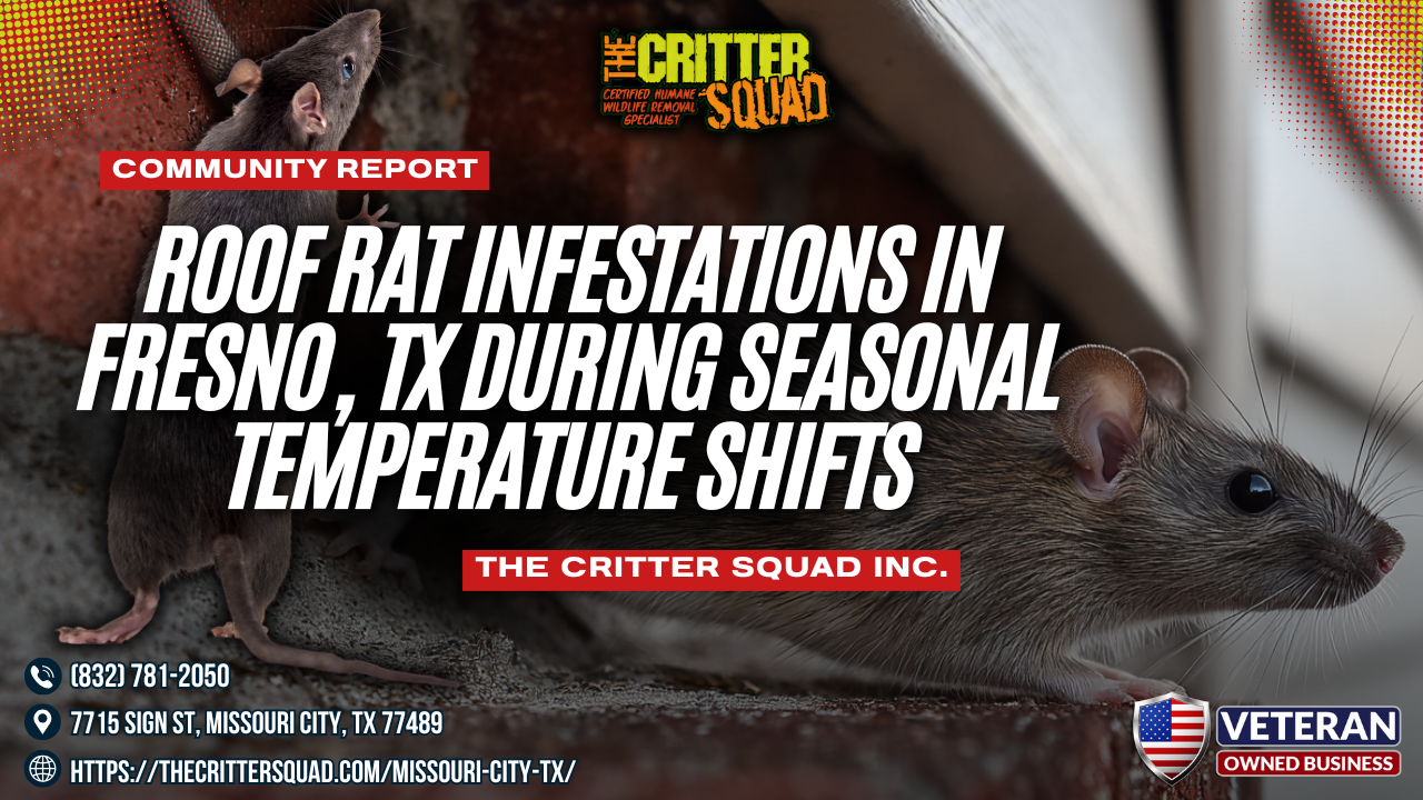 Roof Rat Infestations in Fresno, TX During Seasonal Temperature Shifts ...