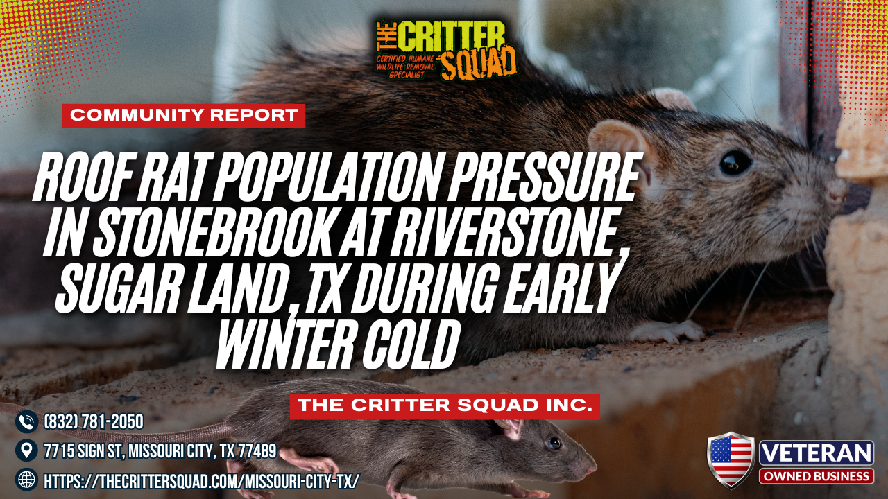 Roof Rat Population Pressure in Stonebrook at Riverstone, Sugar Land ...